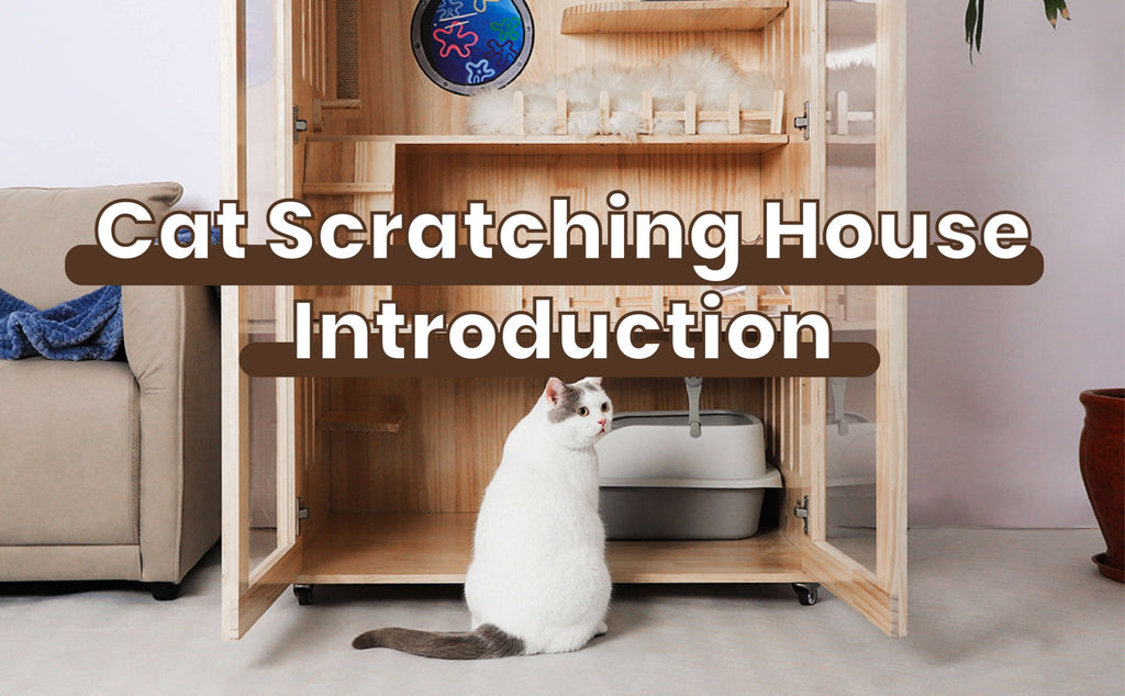 Cat Scratching House Introduction – LaiFug